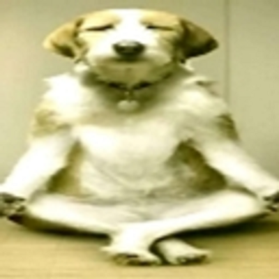 okade (@okade@lile.cl) - Lile